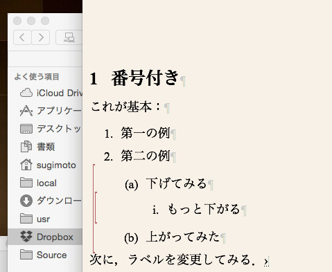 箇条書きの作成 | Fluid Dynamics Lab. Kyoto Univ.
